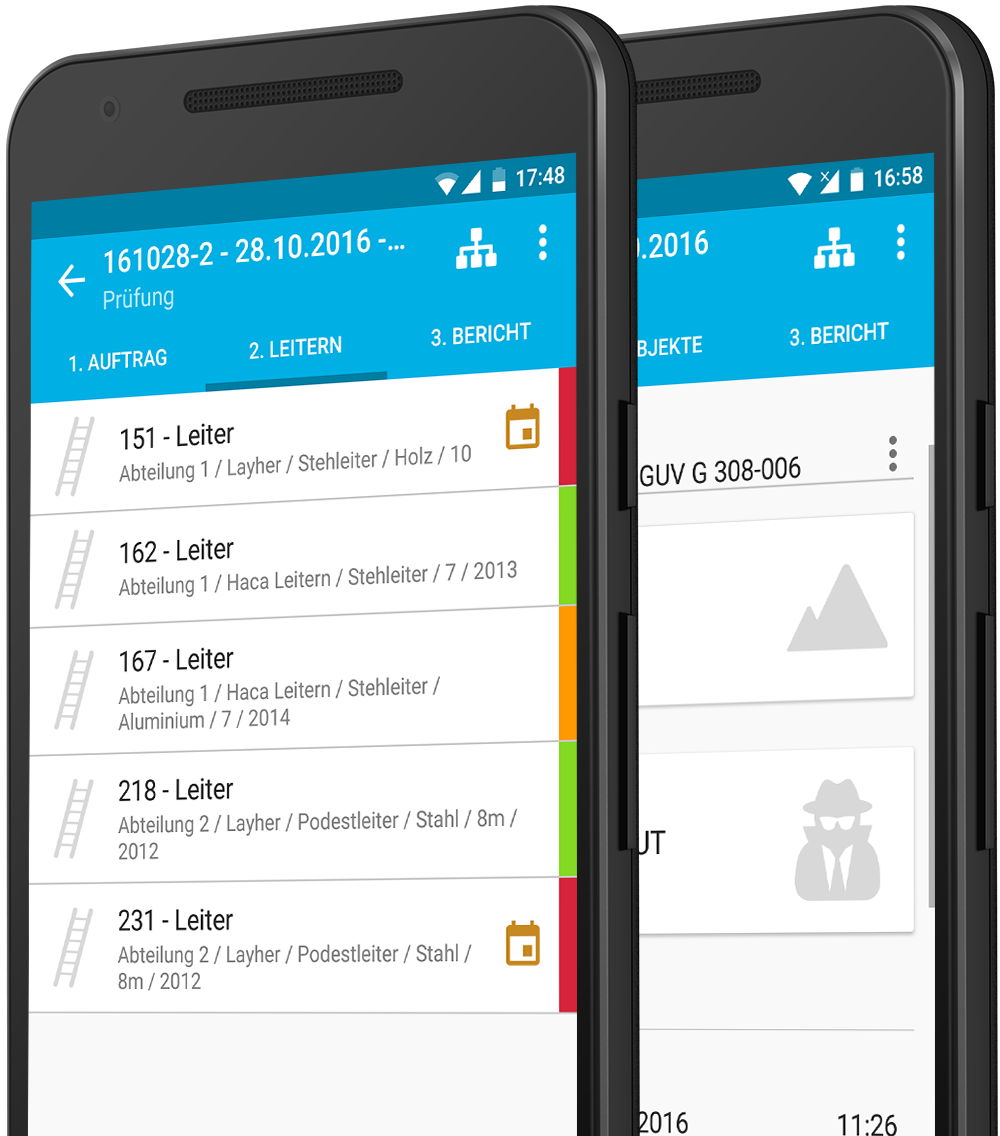 Leitern und Tritte - Inspektion - CHEQSITE